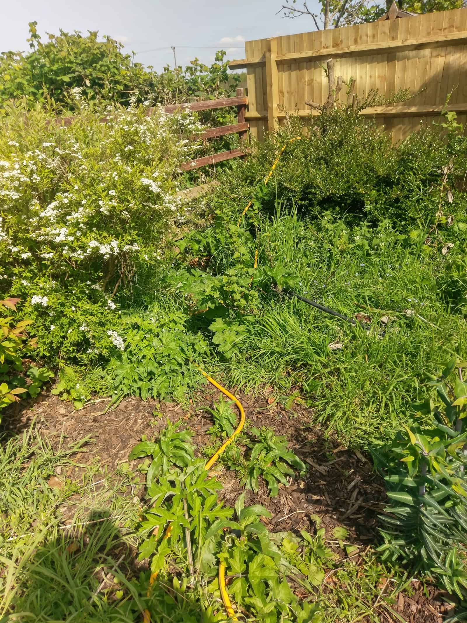 Telescopic Garden Makeover - N&P Landscaping Limited